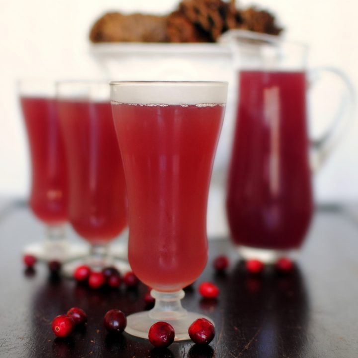 Cranberry Pomegranate Holiday Punch - Simply Scratch