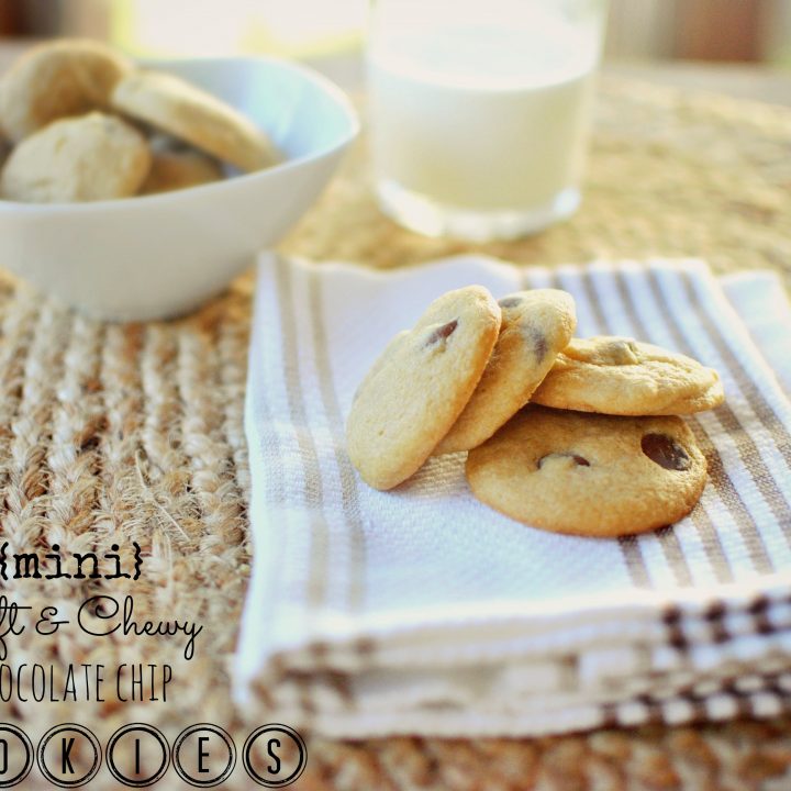 Mini Chocolate Chip Cookies - Simply Scratch