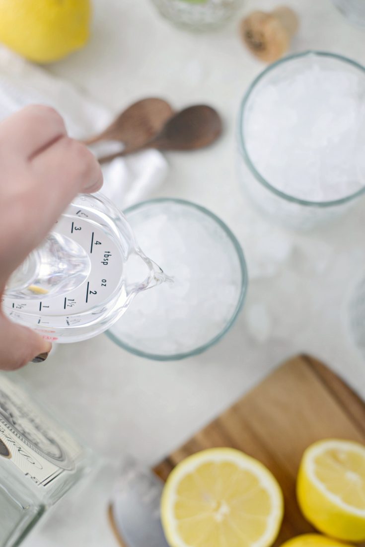 Lemon Gin Fizz - Simply Scratch