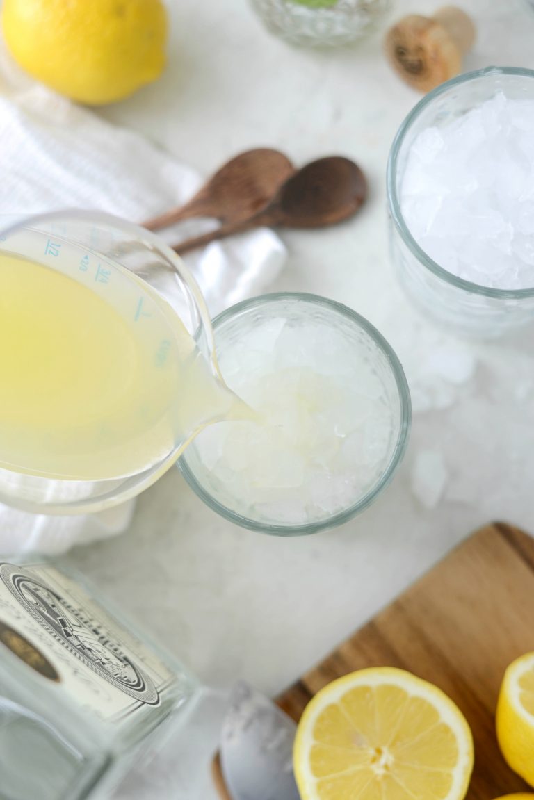 Lemon Gin Fizz - Simply Scratch