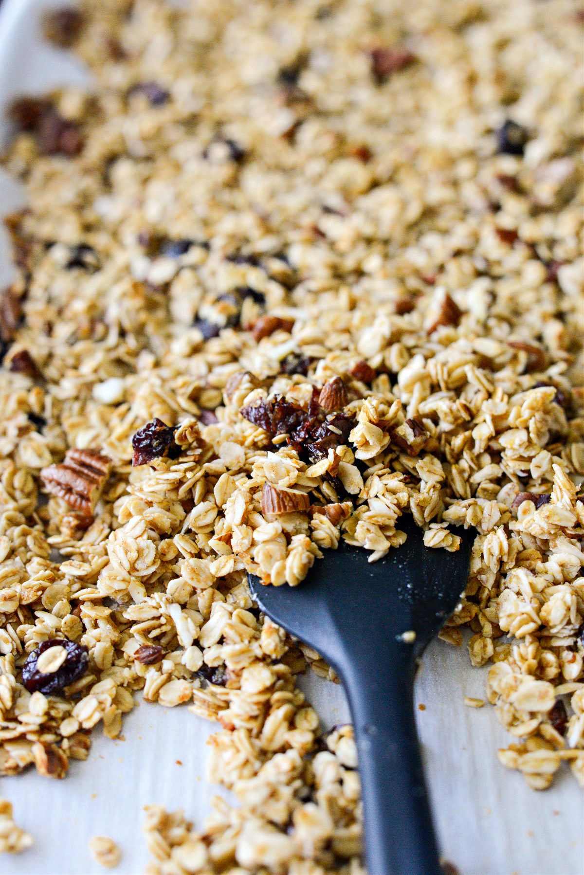 Chewy Fruit and Nut Granola - Simply Scratch