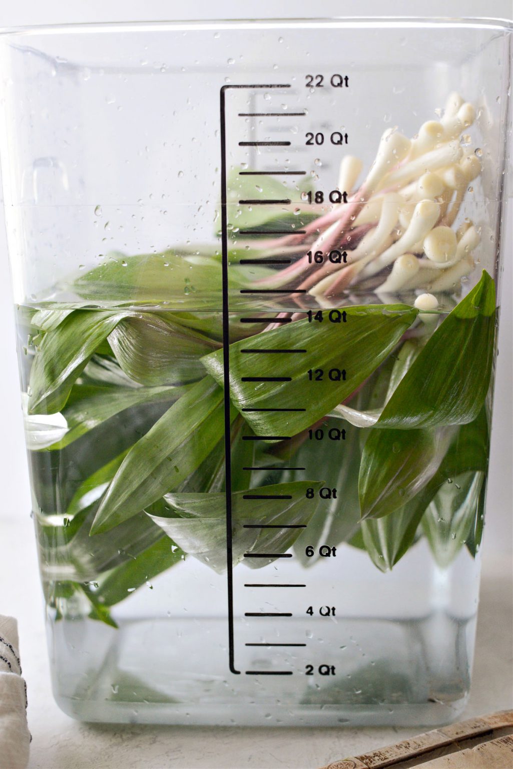 Grilled Ramps Recipe - Simply Scratch