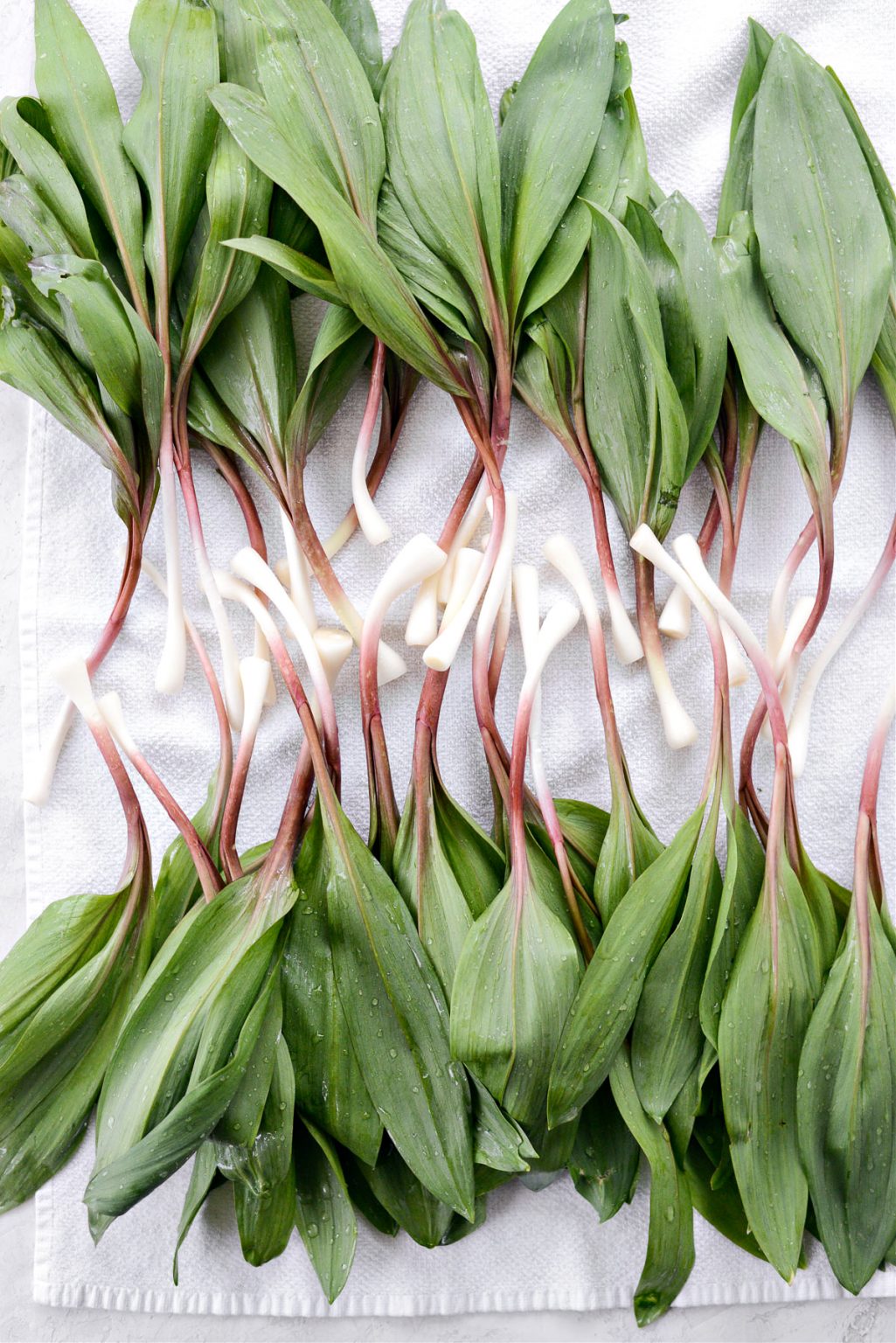 Grilled Ramps Recipe - Simply Scratch