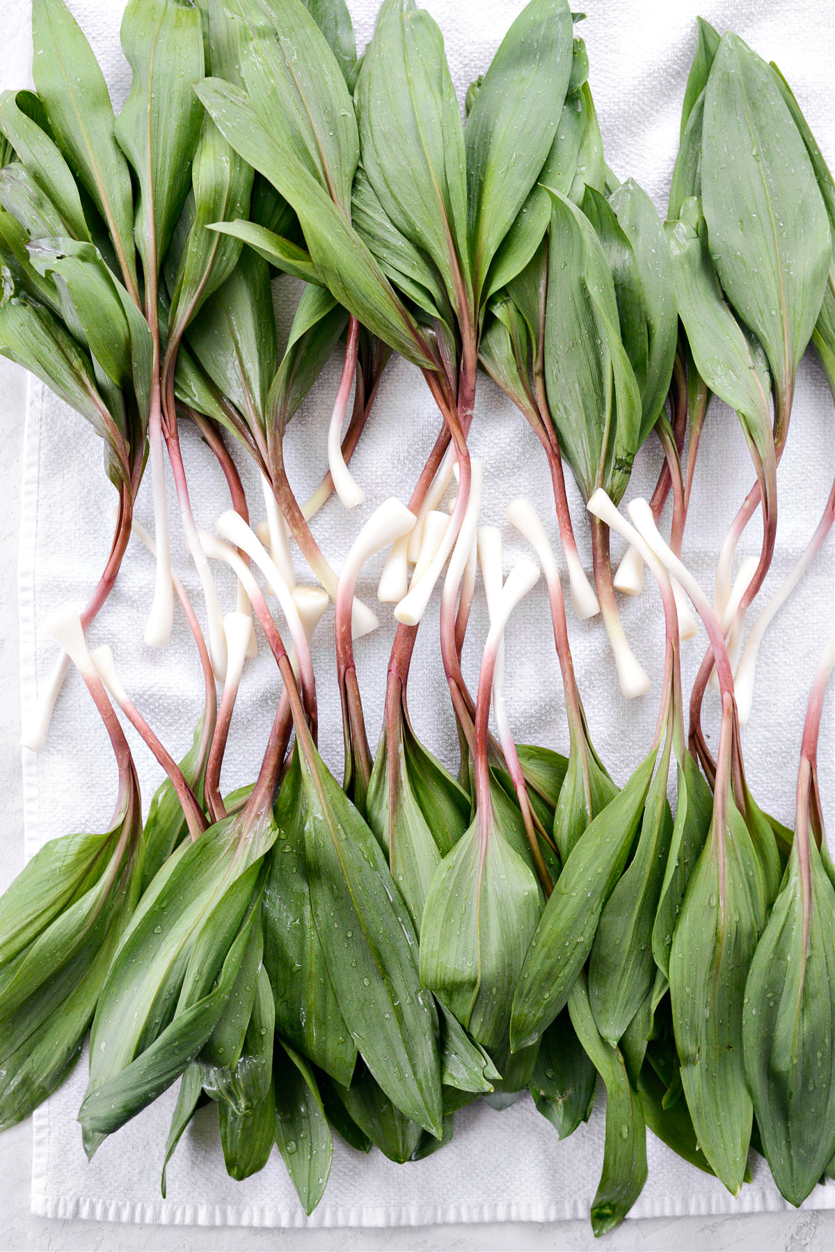 Grilled Ramps Recipe - Simply Scratch