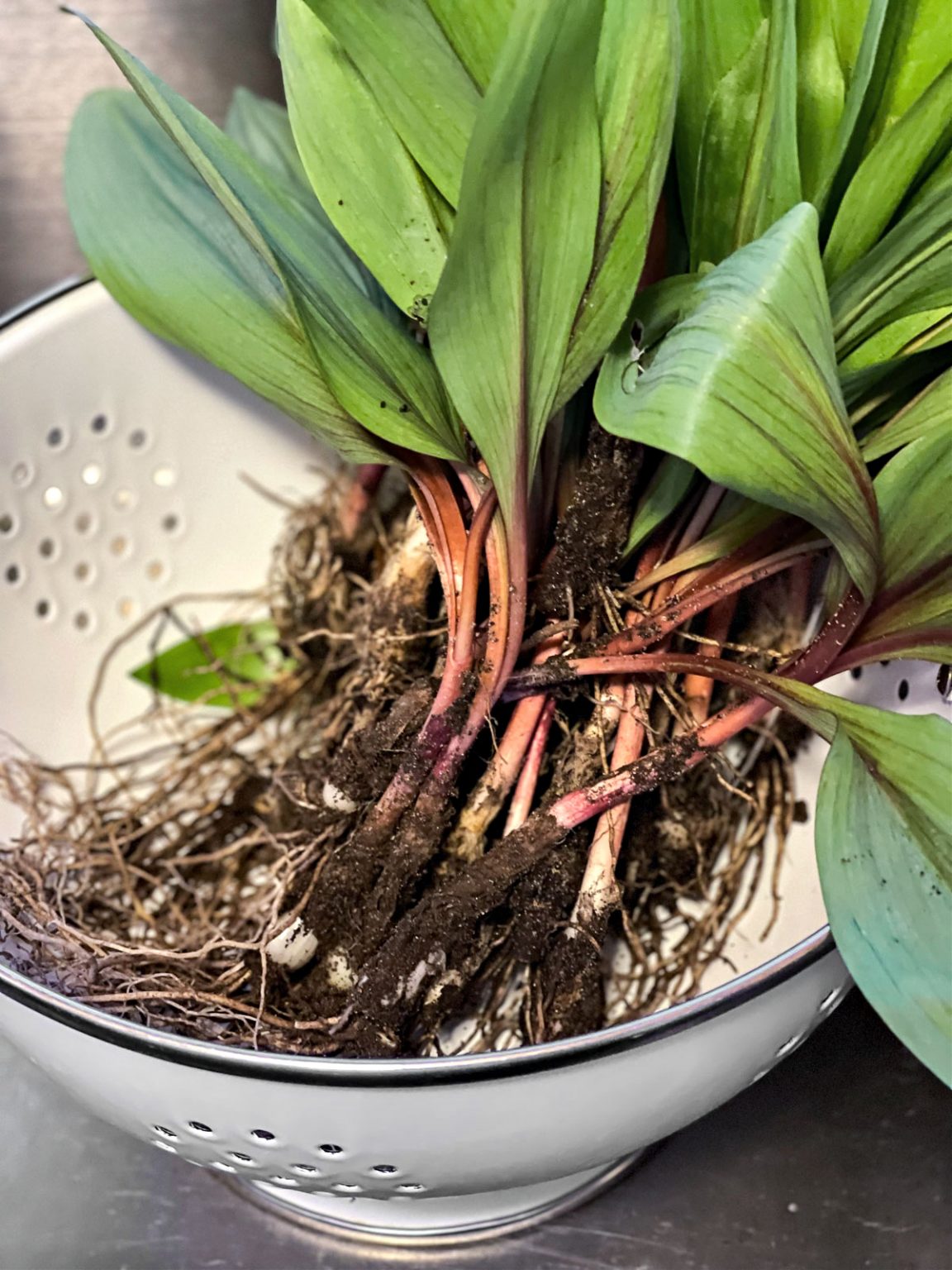 Grilled Ramps Recipe - Simply Scratch