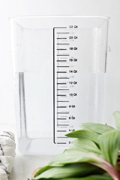 Grilled Ramps Recipe - Simply Scratch