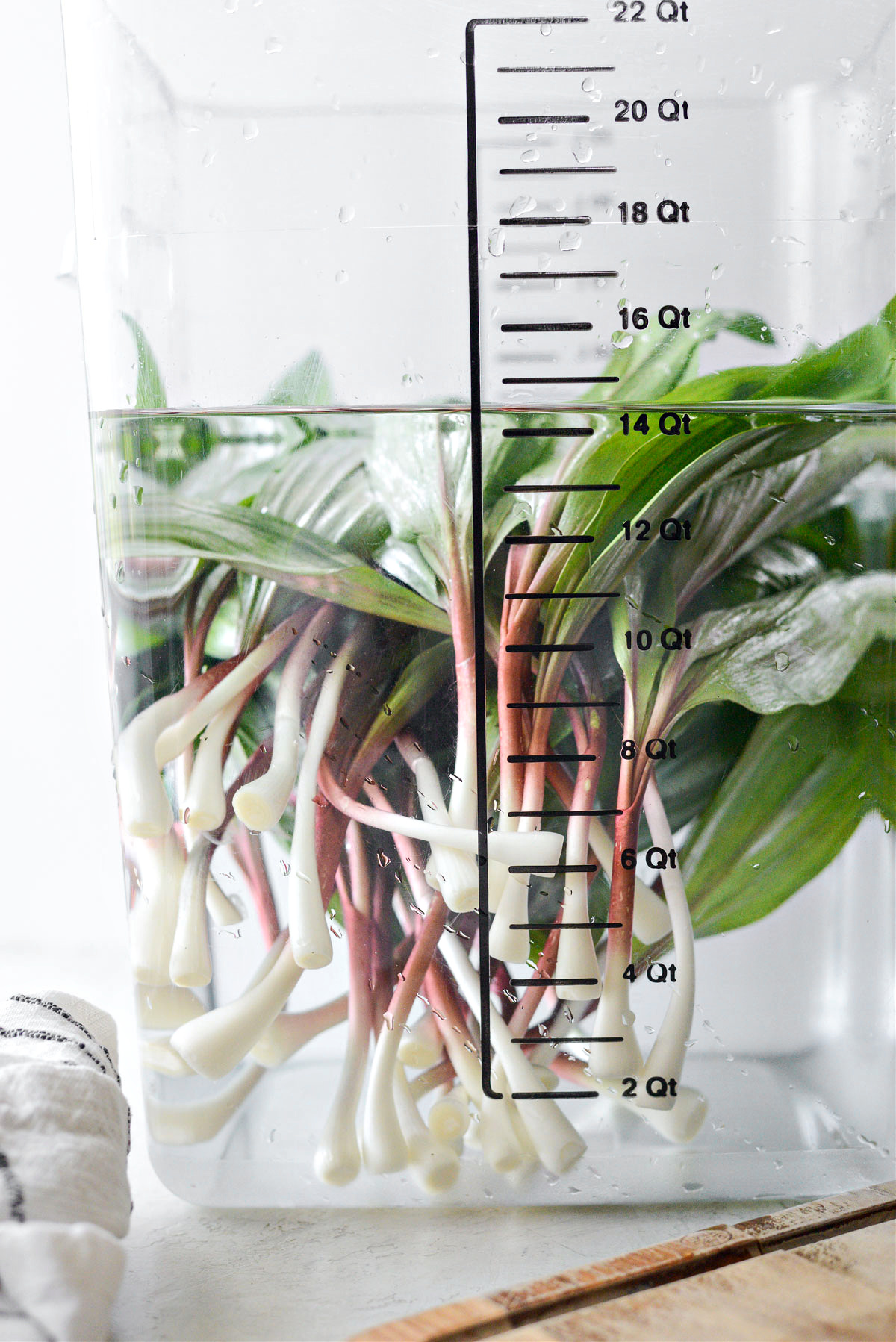 Grilled Ramps Recipe - Simply Scratch