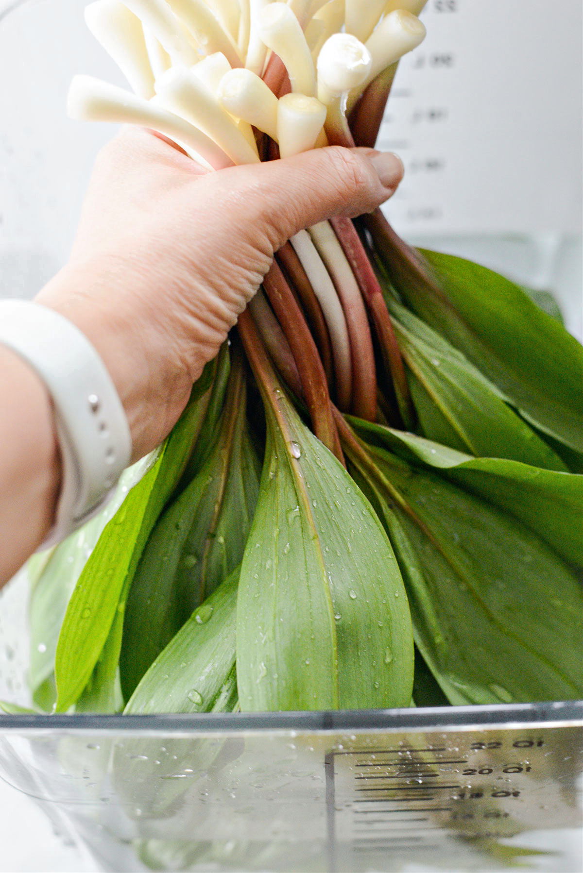 Grilled Ramps Recipe - Simply Scratch