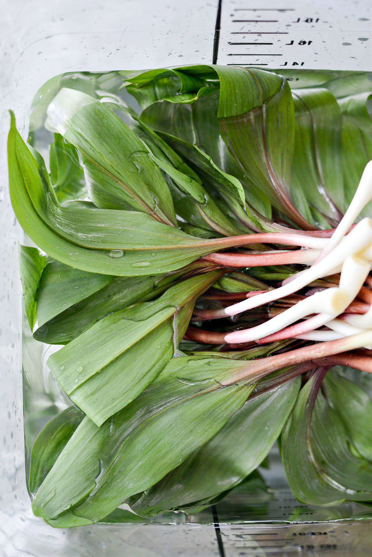 Grilled Ramps Recipe - Simply Scratch